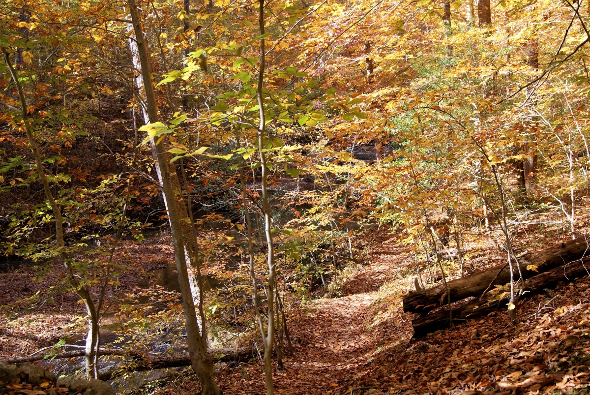 This Park Just 45 Minutes Away Offers An Amazing Fall Experience