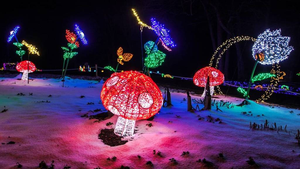 This Botanical Garden Is Hosting A Festive Winter Walk Of Light
