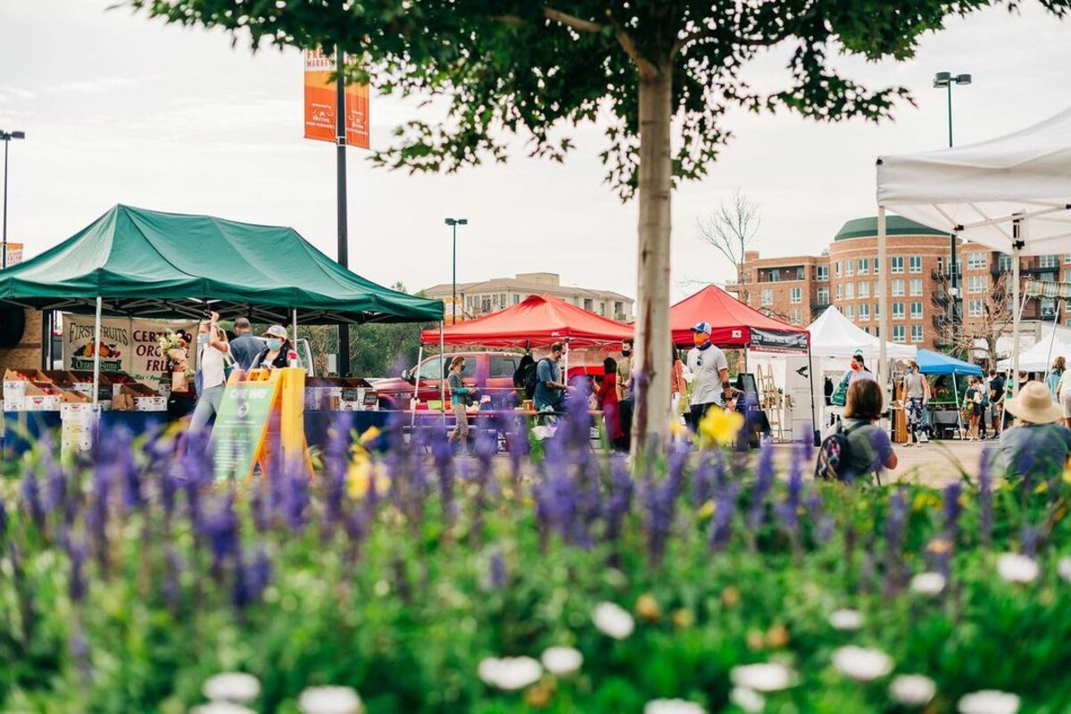 The Ultimate Spring Bucket List: 10 Fun Things To Do In Denver