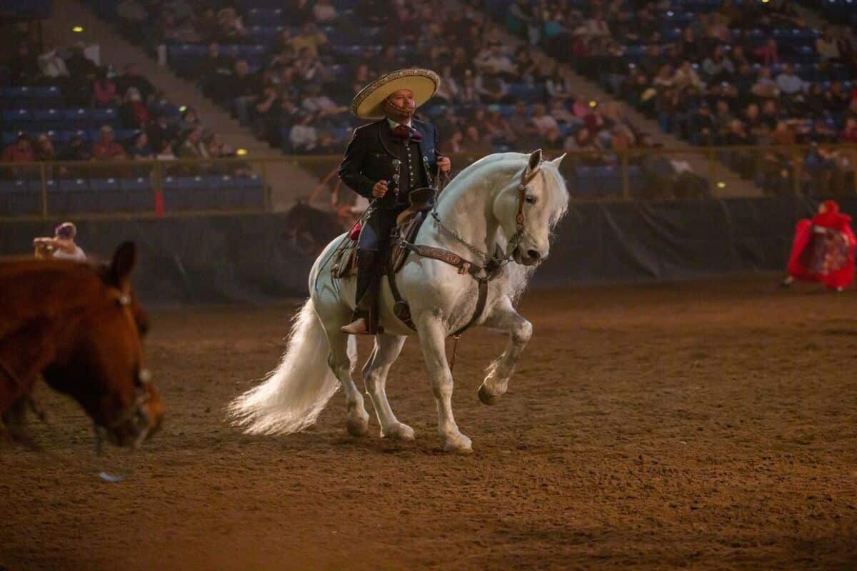 For The First Time Since 2020, The National Western Stock Show Has ...