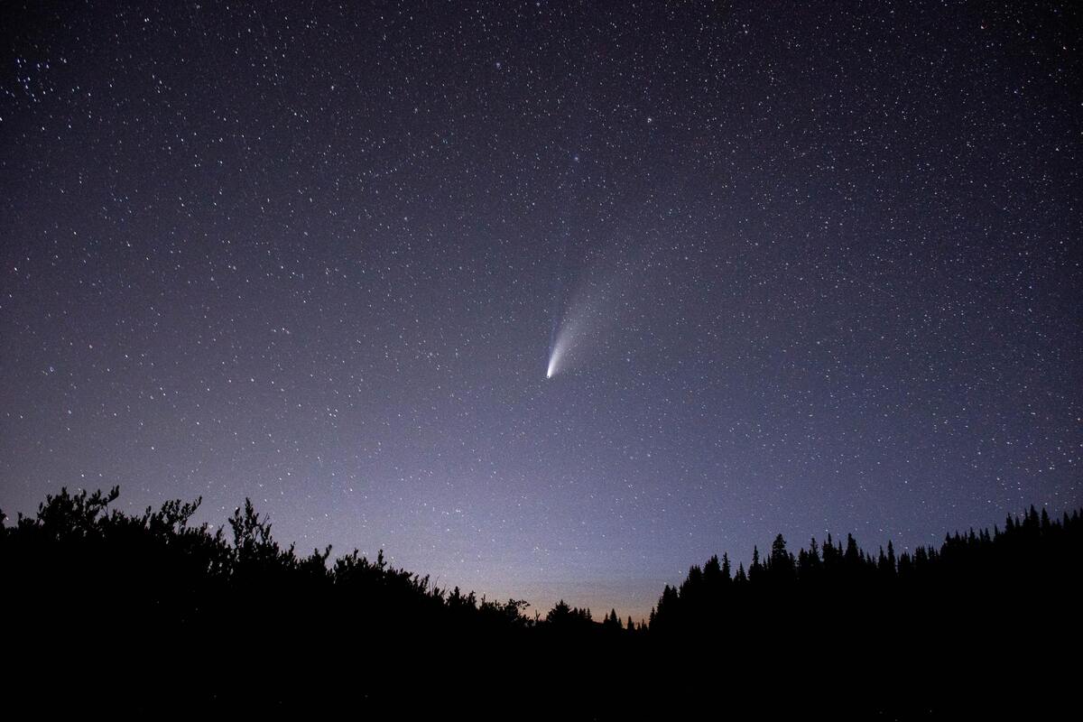 You Can See This Rare Comet For The First Time In 50,000 Years