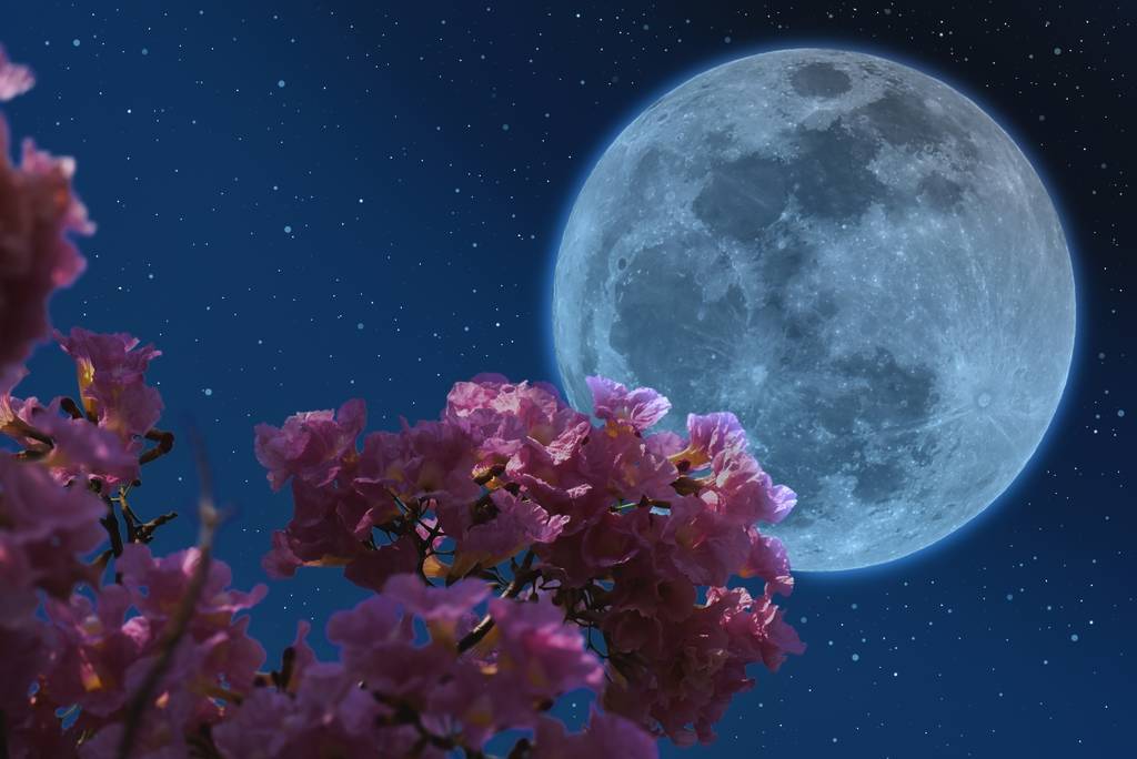 A Full 'Pink' Moon May Light Up Detroit's Sky Tomorrow Evening