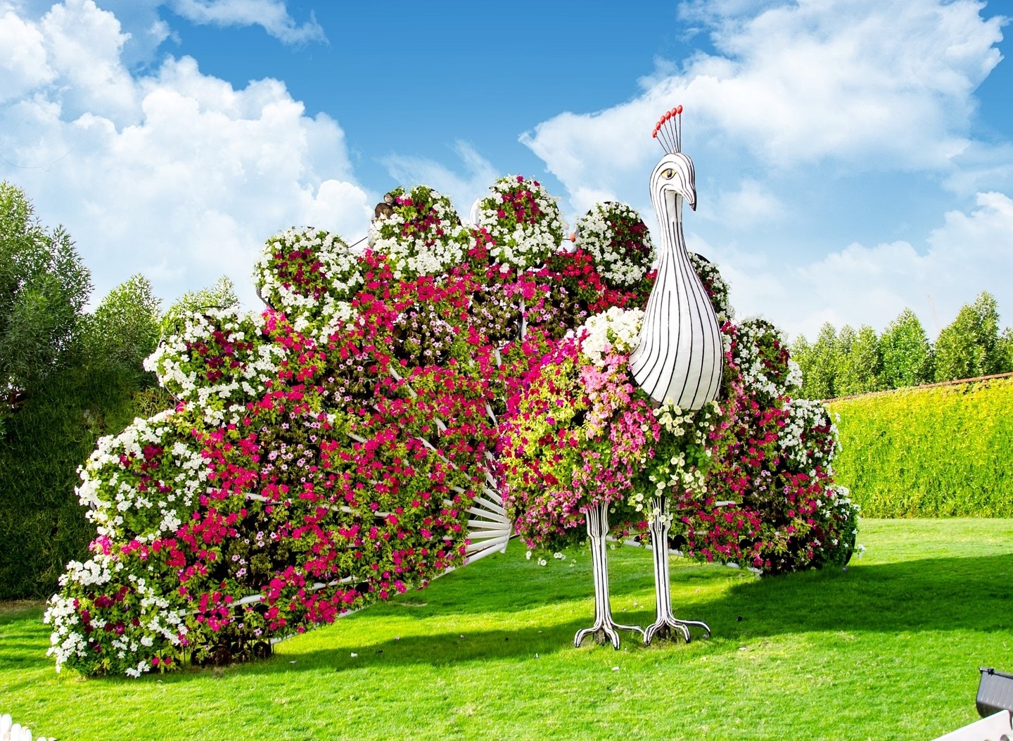 Dubai Miracle Garden Is Reopening This October 2023