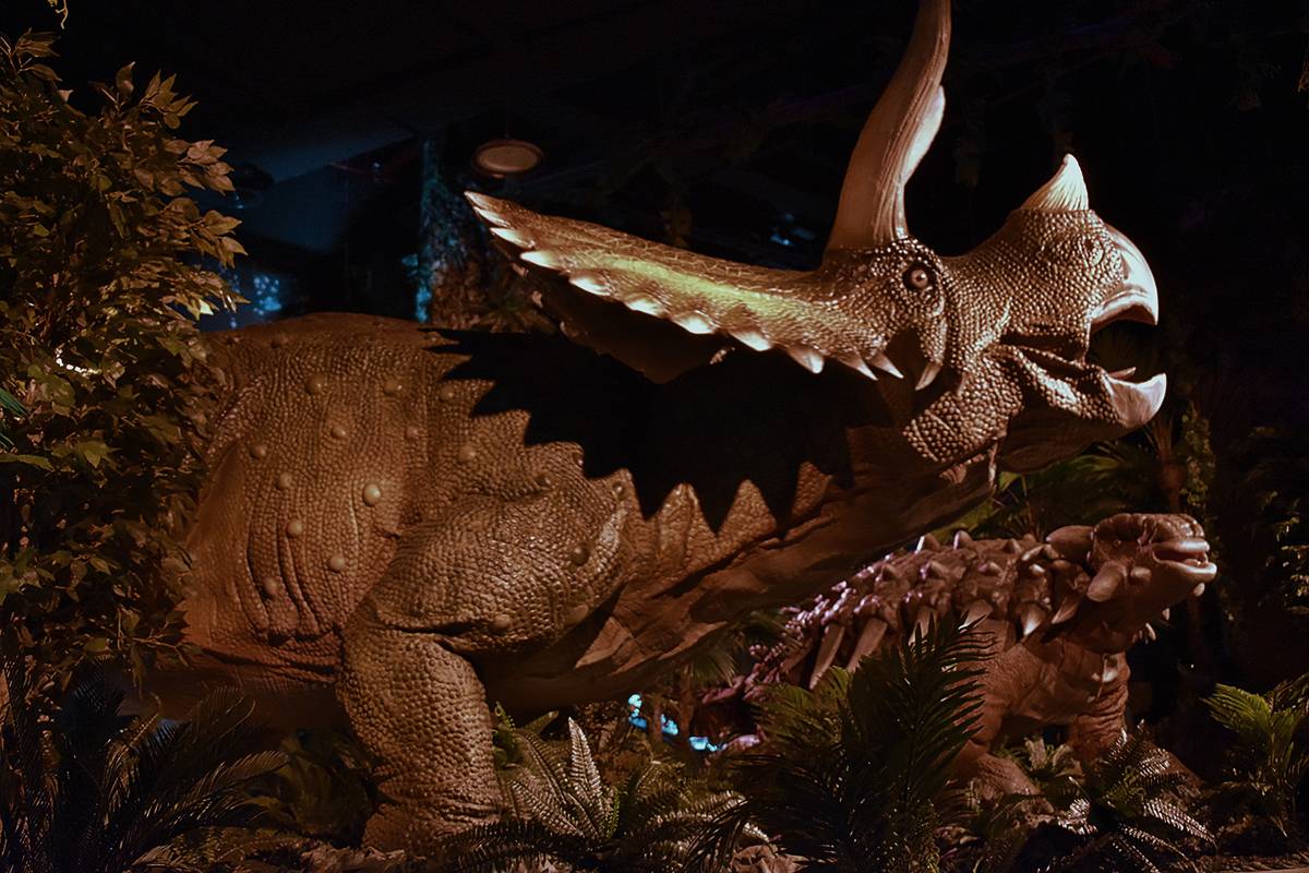 Walk Among Giants At Dinosaurs - The Immersive Odyssey