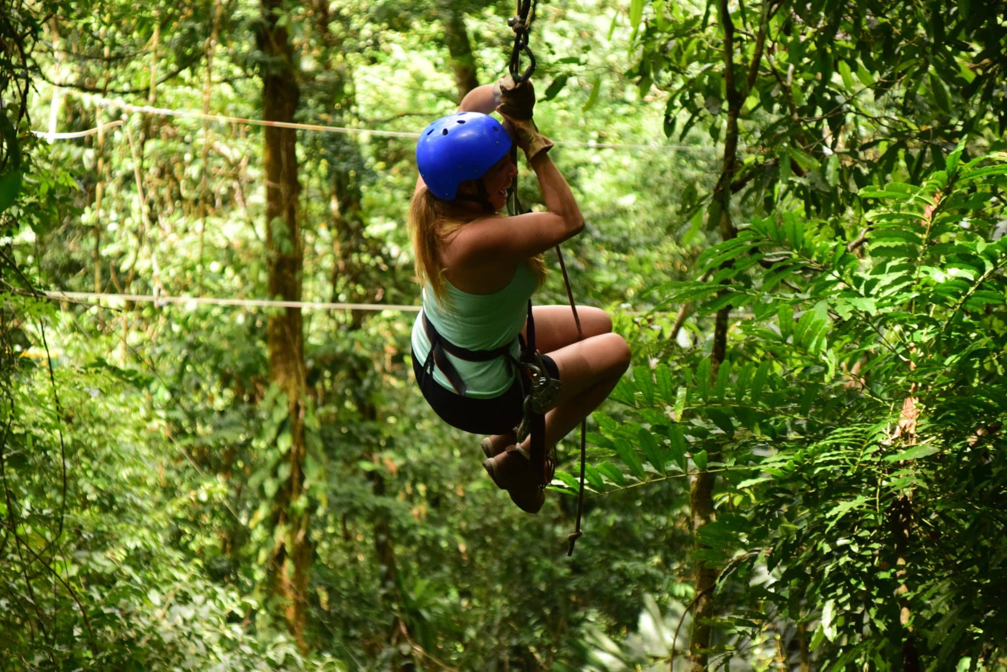 Zipit Forest Adventures: A New Mountain Zipline Has Opened