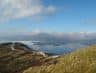 The Scottish Island That Has Been Inhabited By Adorable Wild Wallabies ...