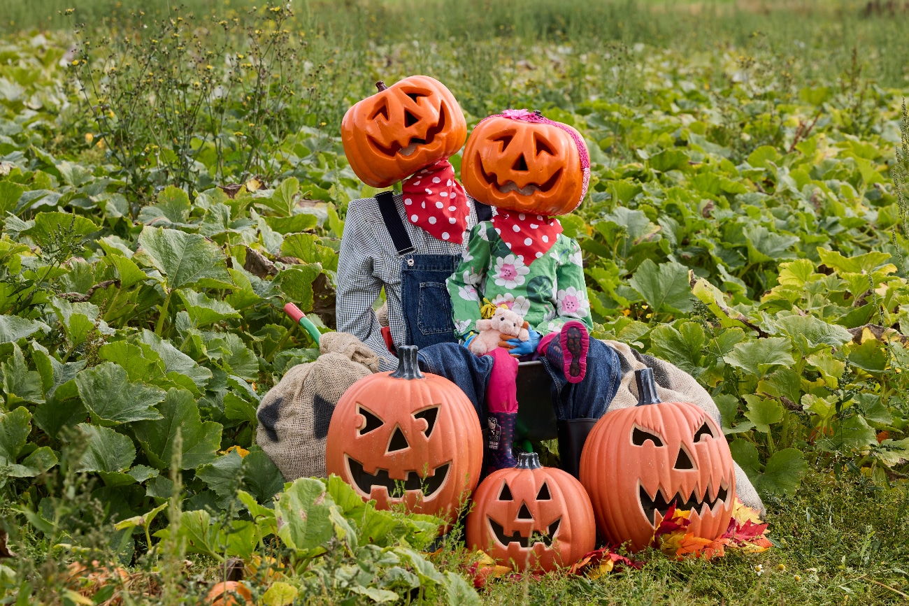 Craigies Farm Is Hosting Autumn Events With Pumpkin Picking And Spooky ...