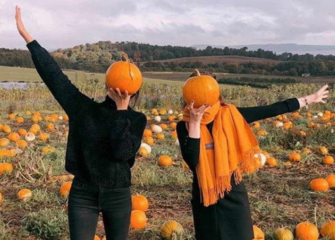 Craigies Farm Is Hosting Autumn Events With Pumpkin Picking And Spooky ...