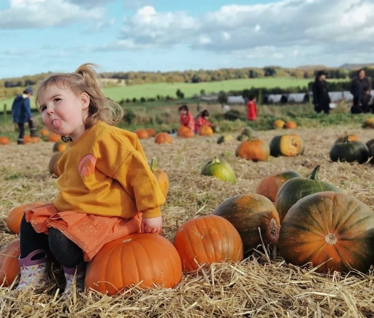 Craigies Farm Is Hosting Autumn Events With Pumpkin Picking And Spooky ...