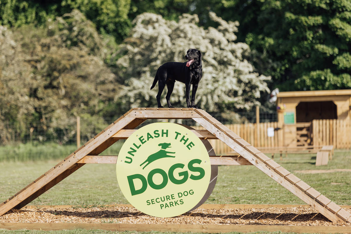 A Massive Unleash The Dogs Dog Park Arrived In Bishopriggs