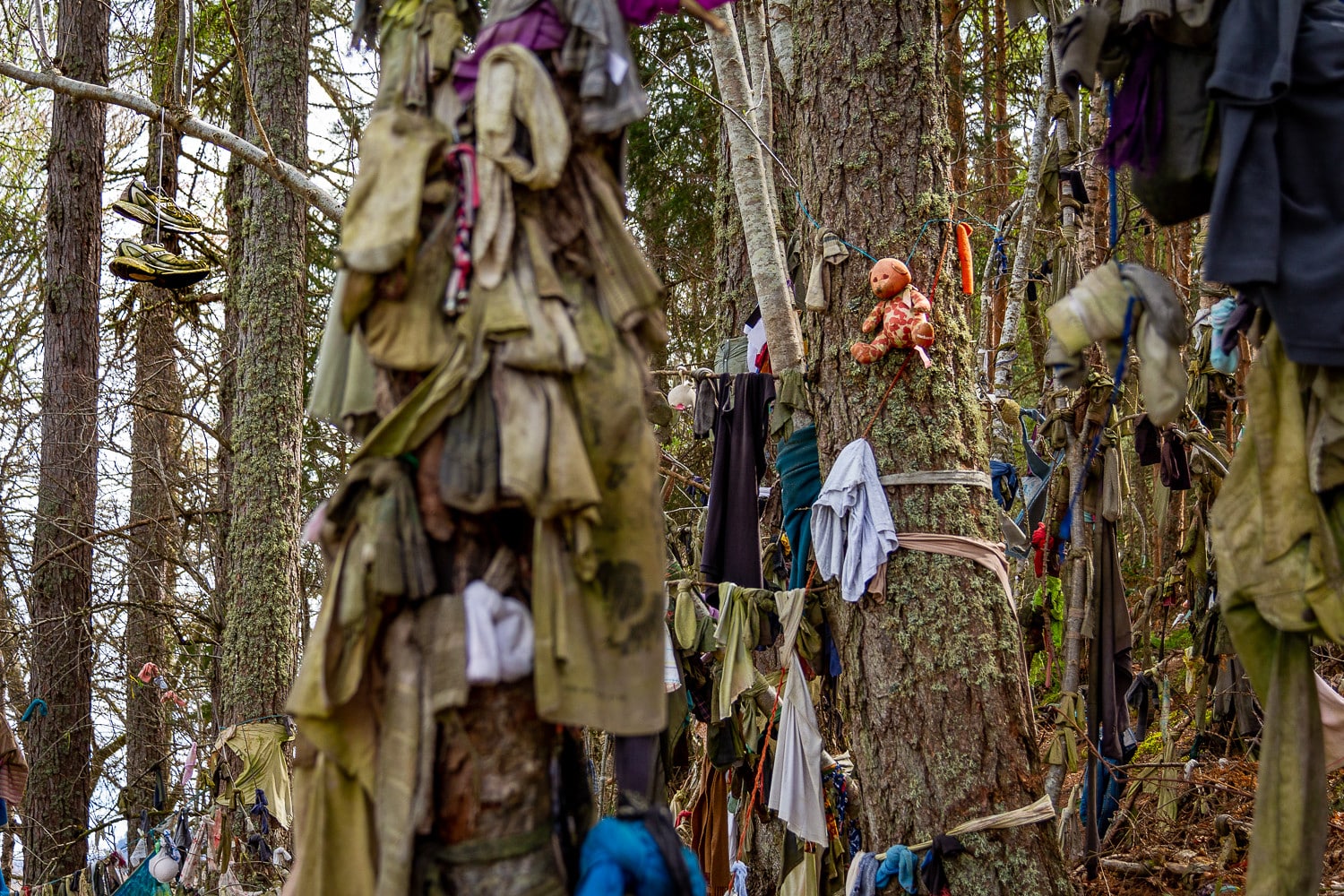 Clootie Well: Why Is It One Of The Strangest Places In Scotland?