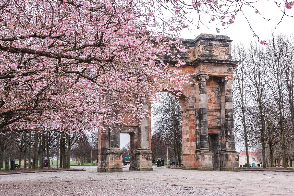 6 Of The Best Spring Walks In Glasgow To Spot Cherry Blossoms