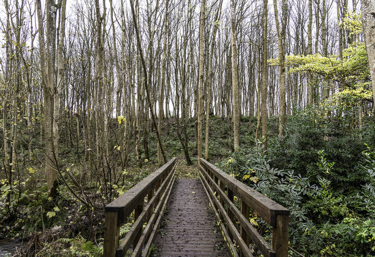 The Shell House: An Enigmatic Fairy Tale Grove Hidden In A Scottish Forest