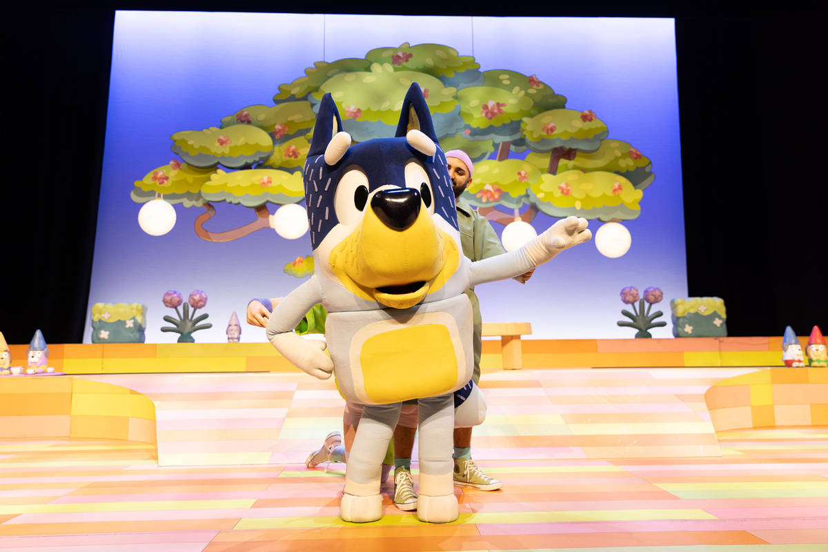 The TV Sensation 'Bluey' Is Being Brought To A Real-Life Stage In ...