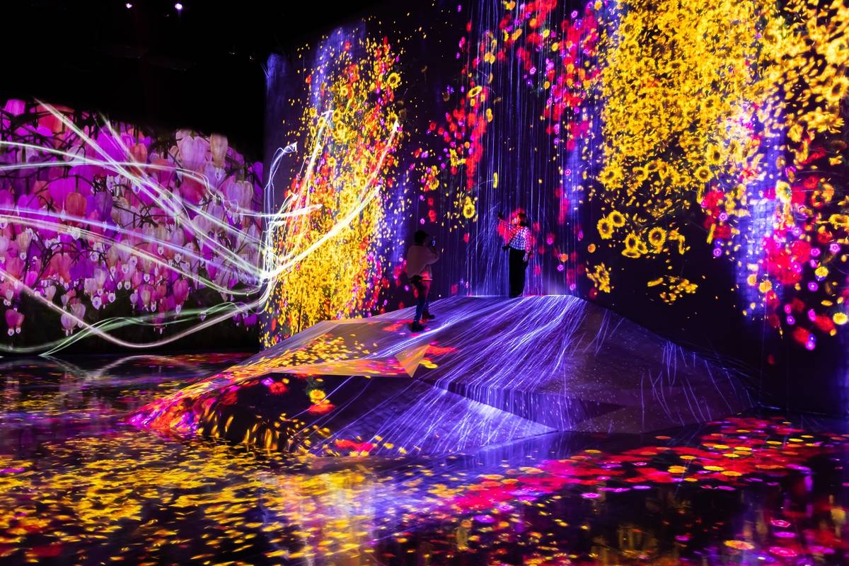 Europe's largest digital art museum coming soon to Hamburg