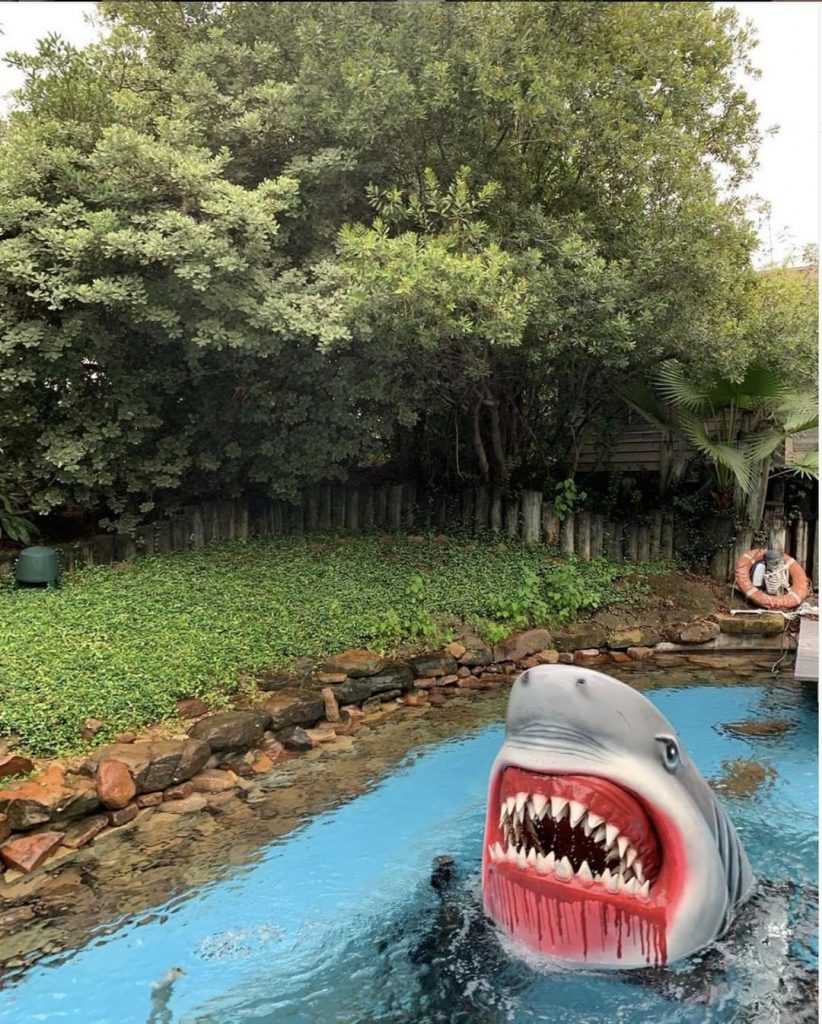 Get An Up-Close Look At Sharks On This Underwater Train Ride In Houston ...