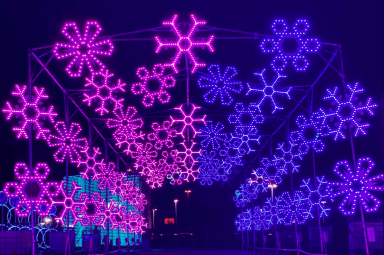 12 Enchanting Christmas Light Displays In Houston 2024