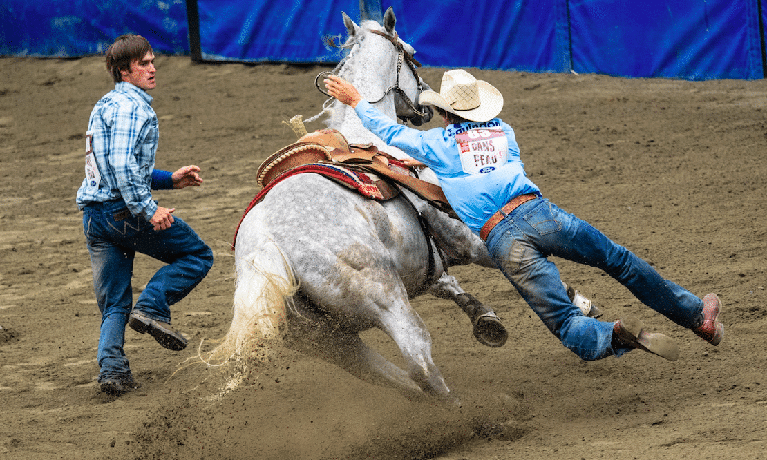 The 2021 Houston Livestock Show And Rodeo Has Officially Been Cancelled