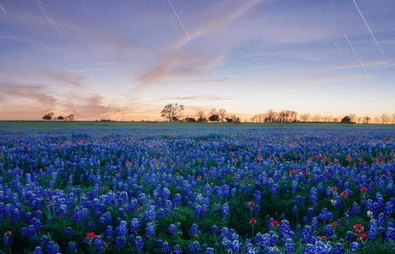 47 Amazing Things To Do This April In Houston