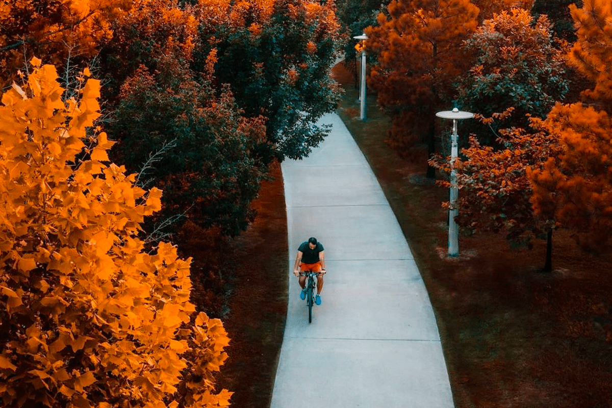 35 Wonderful Things To Do This November In Houston
