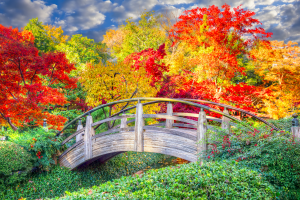 55 Terrific Things To Do This October In Houston