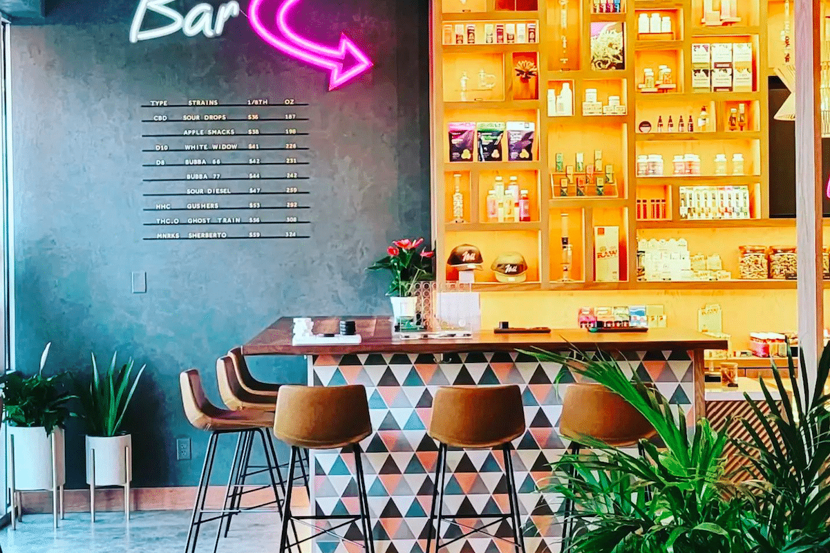 30 Exceptional Things To Do This January In Houston