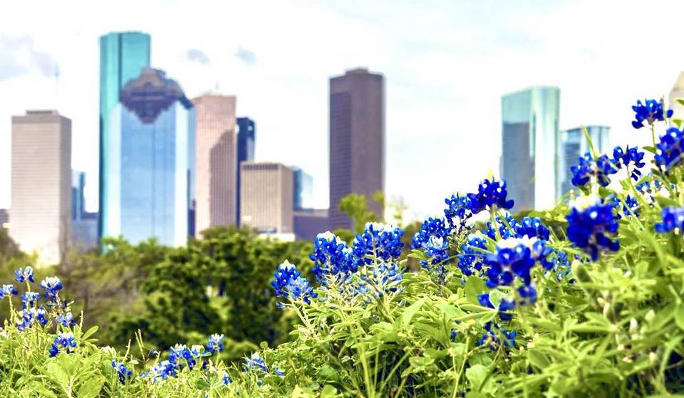 25 Of The Best Things To This March In Houston