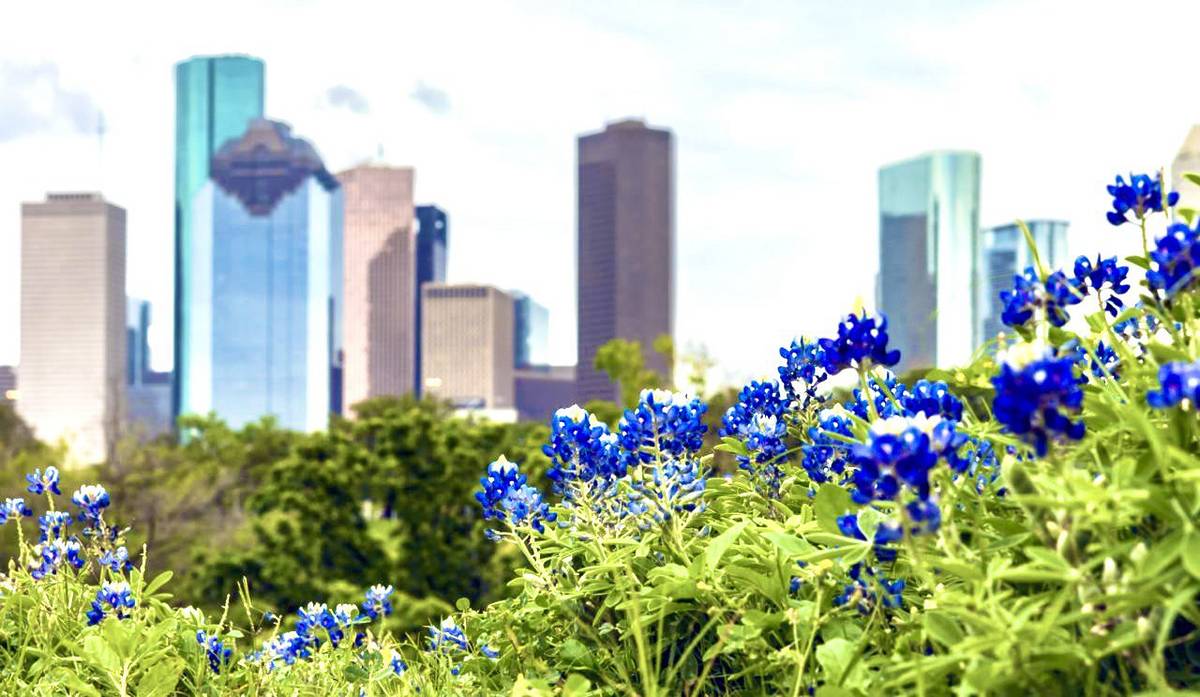 32 Of The Best Things To This March In Houston
