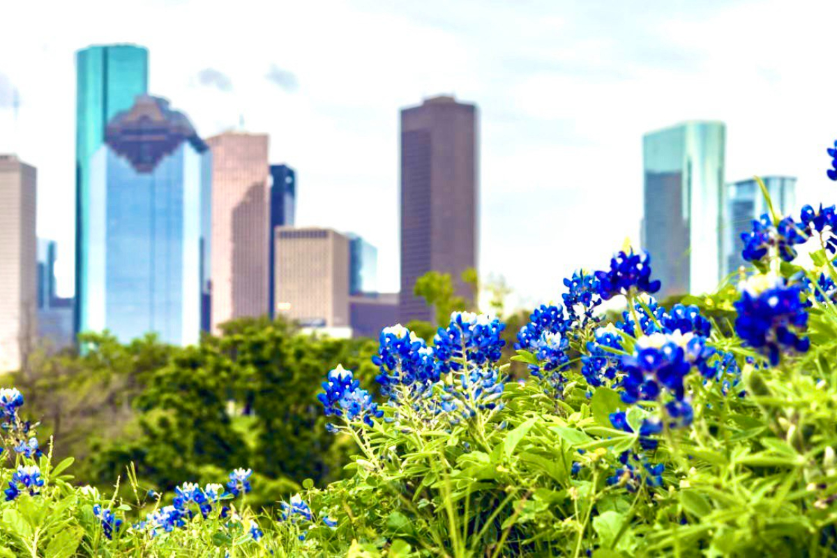 Parques De Houston Para Bodas Lugares Poco Convencionales Para