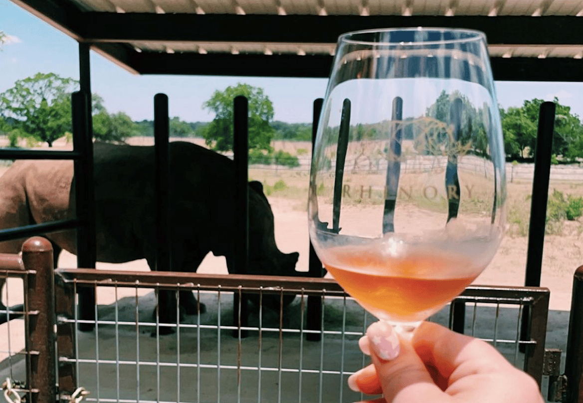 Sip Wine Among Rhinos At This Vineyard And Rhino Reserve In Texas Hill ...