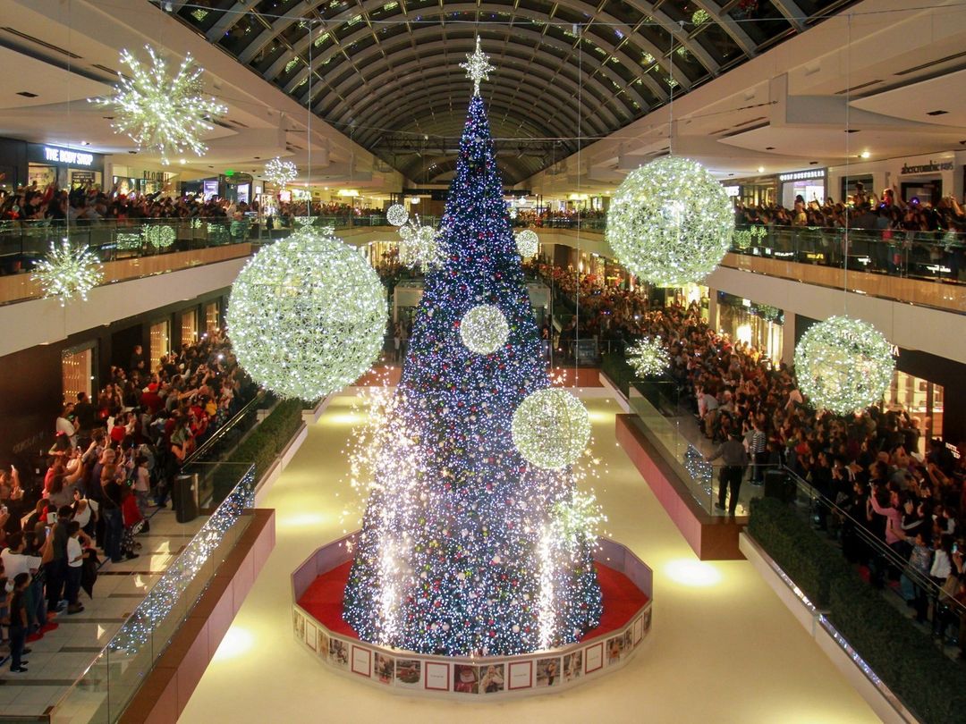 5 Dazzling Houston Ice Rinks In Houston To Skate This Winter