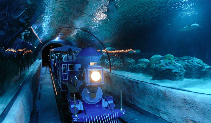 Secret Houston - Your Complete Guide To Things To Do In Houston