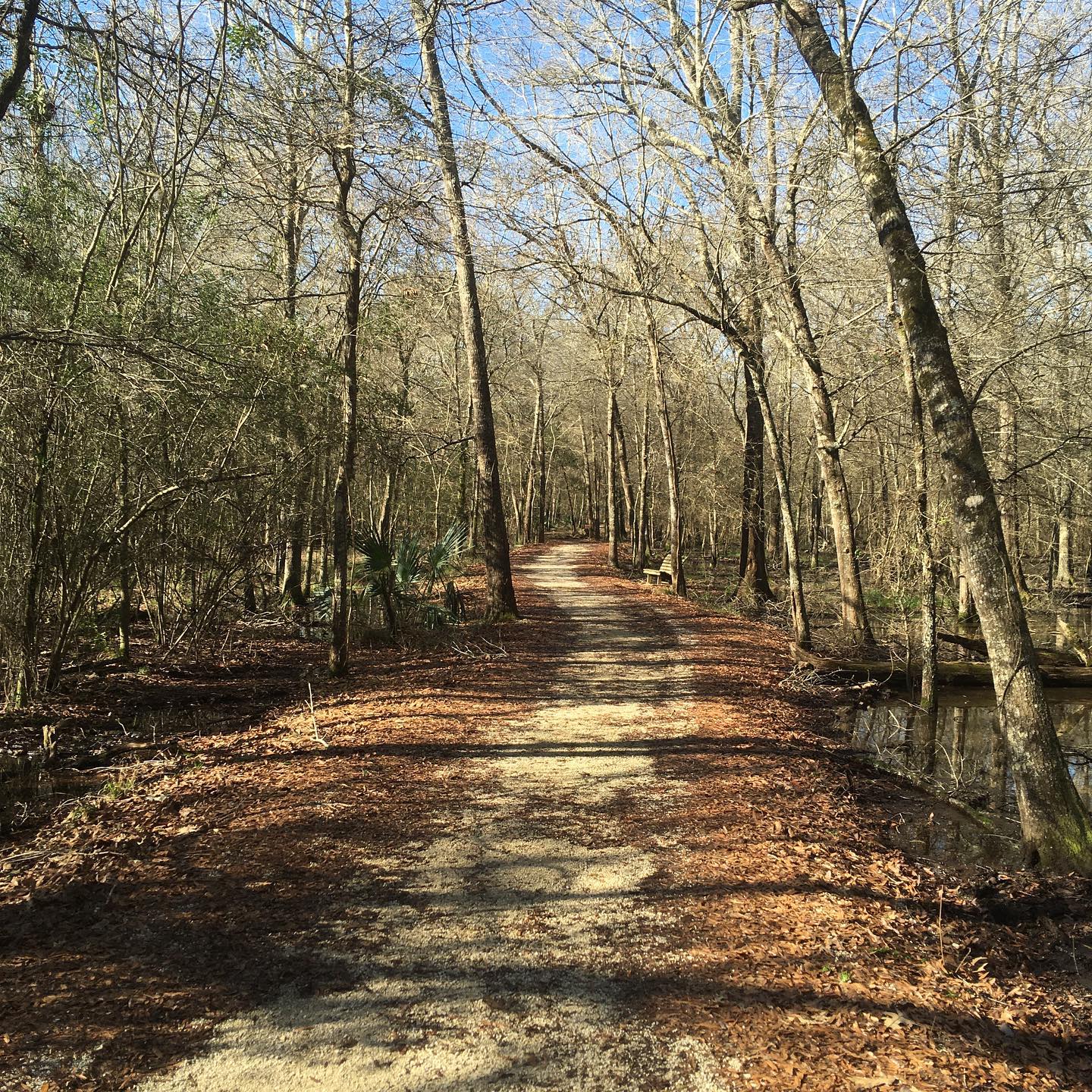 10 Scenic Places To Hike In Houston This Fall