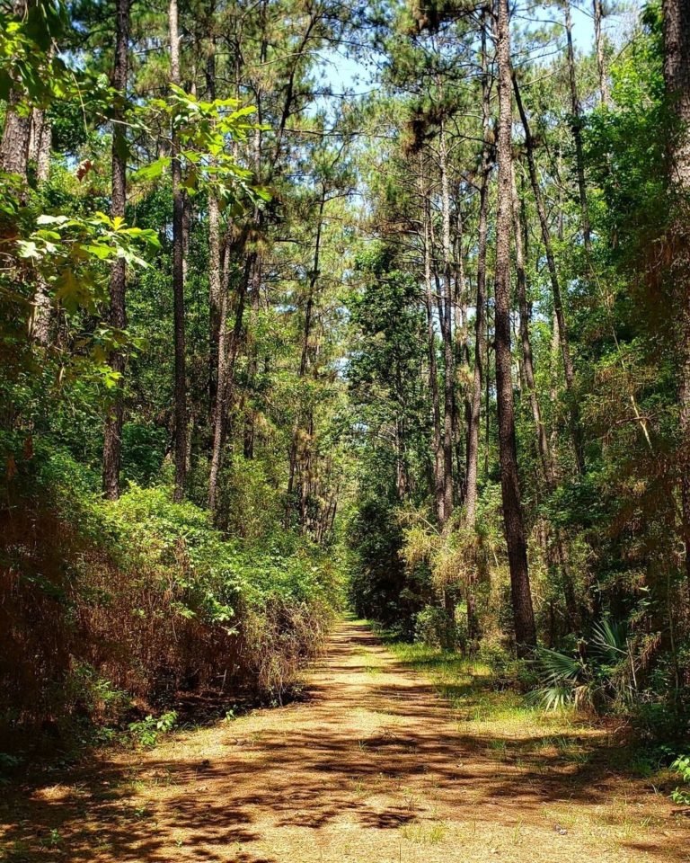 55 Fantastically Unique Houston Night Date Ideas