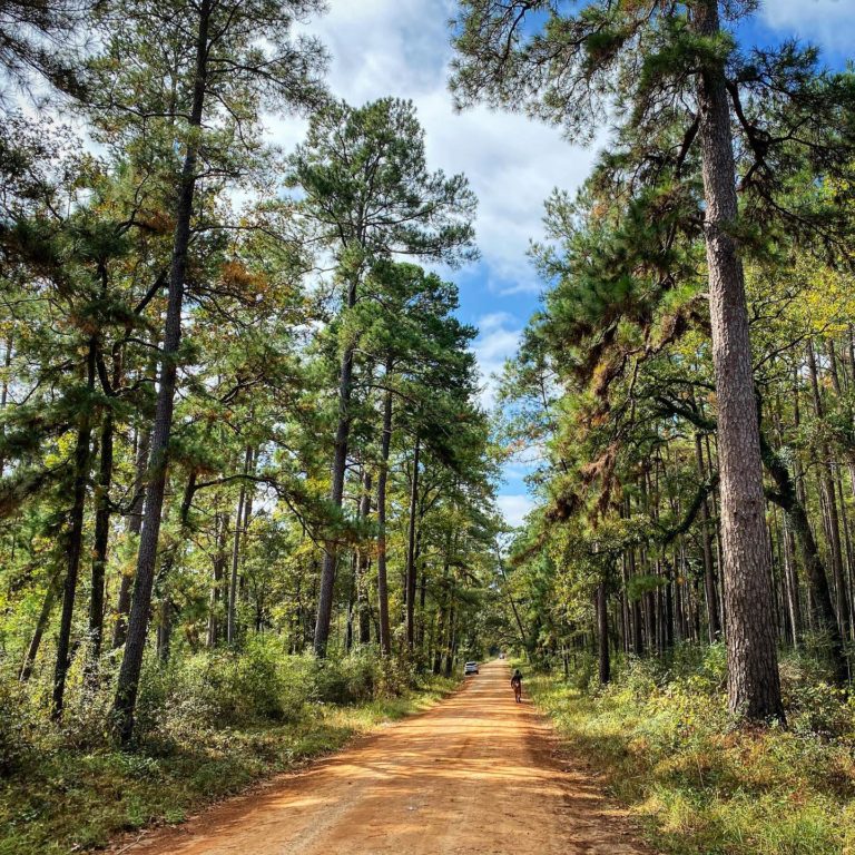 10 Scenic Places To Hike In Houston This Fall