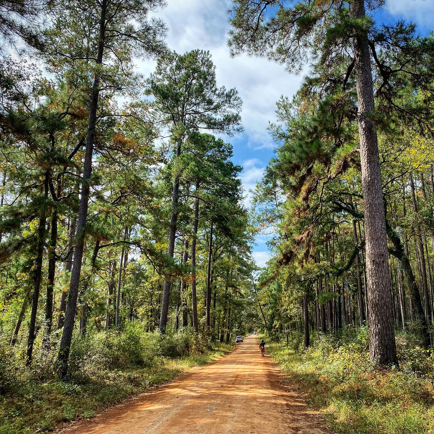 10 Scenic Places To Hike In Houston This Fall