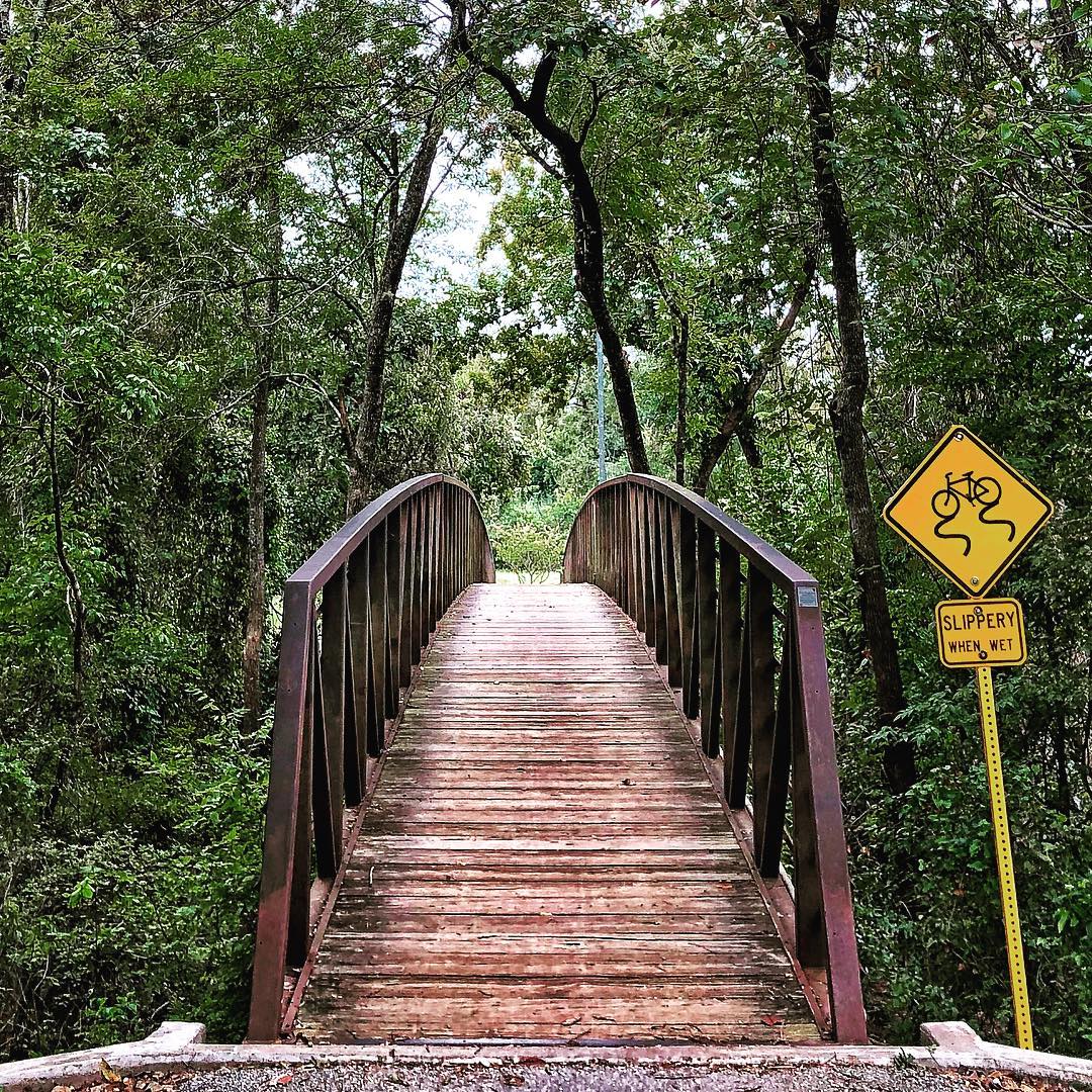 10 Scenic Places To Hike In Houston This Fall
