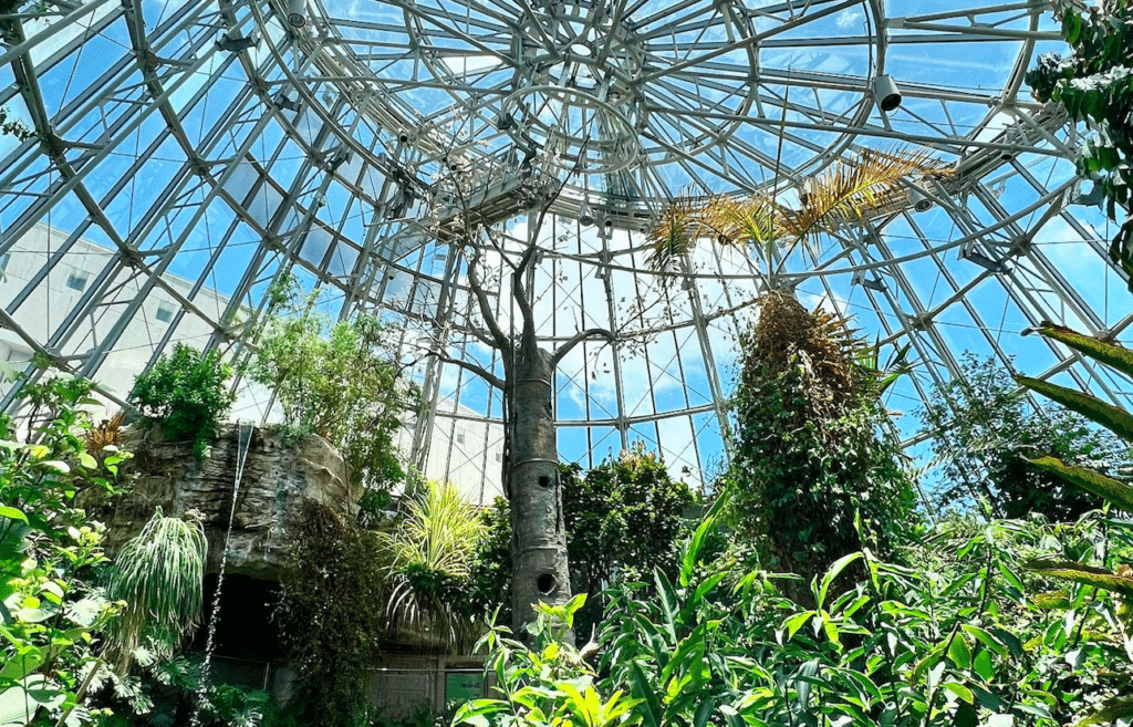 50 Fabulous Things To Do This Spring In Houston - Secret Houston