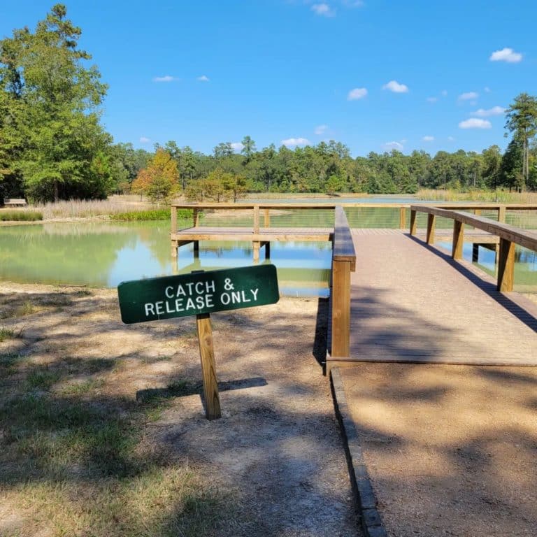 11 Picture-Perfect Parks In Houston