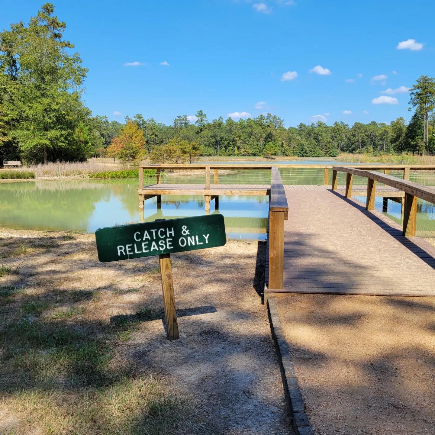12 Fantastic Places To Swim In Houston And Beyond