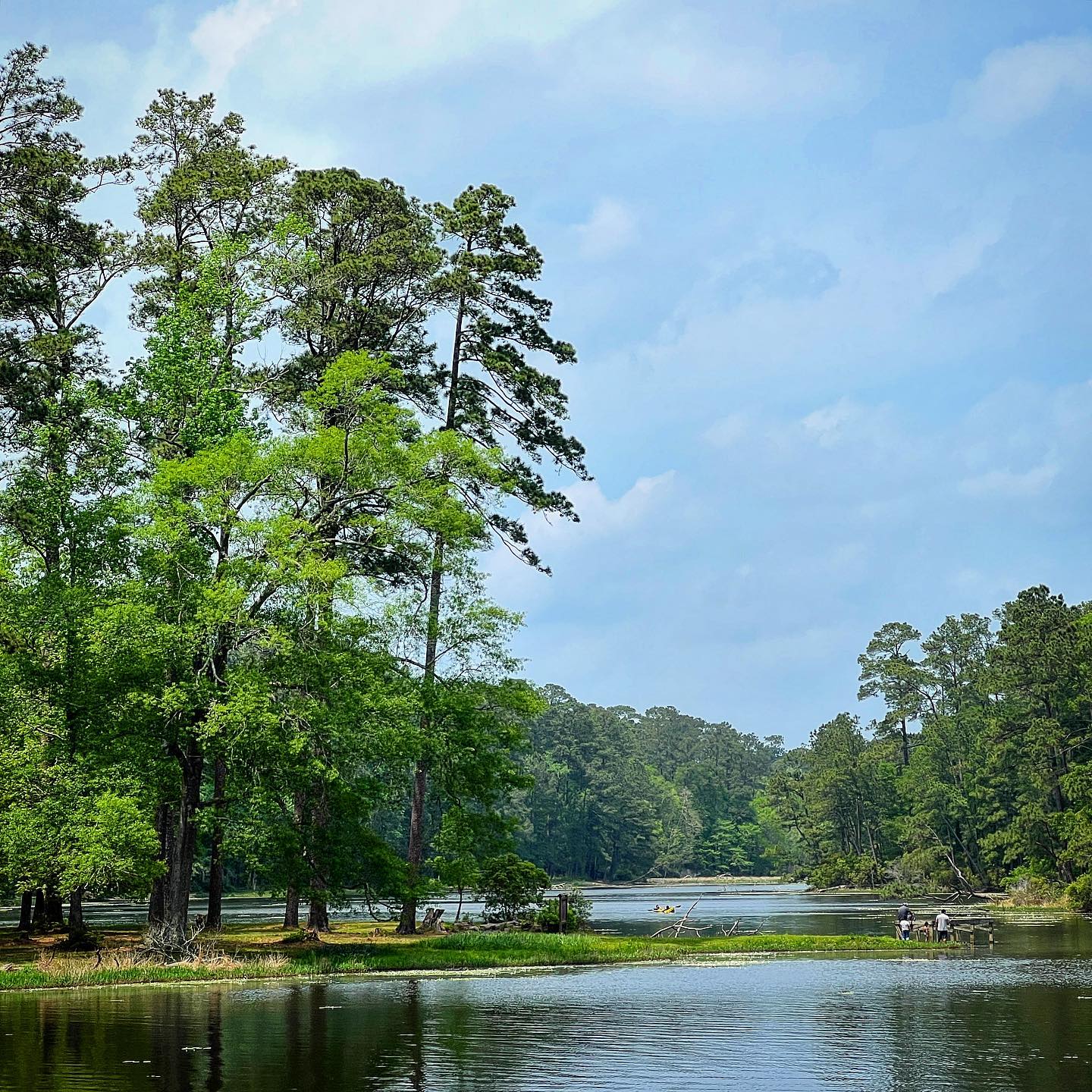 12 Fantastic Places To Swim In Houston And Beyond
