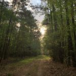 20 Fantastic Things To Do This Fall In Houston