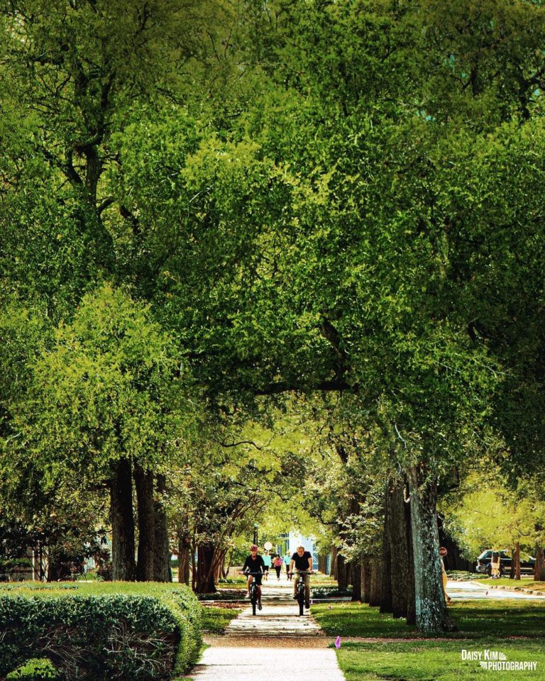 10 Most Walkable Areas In Houston