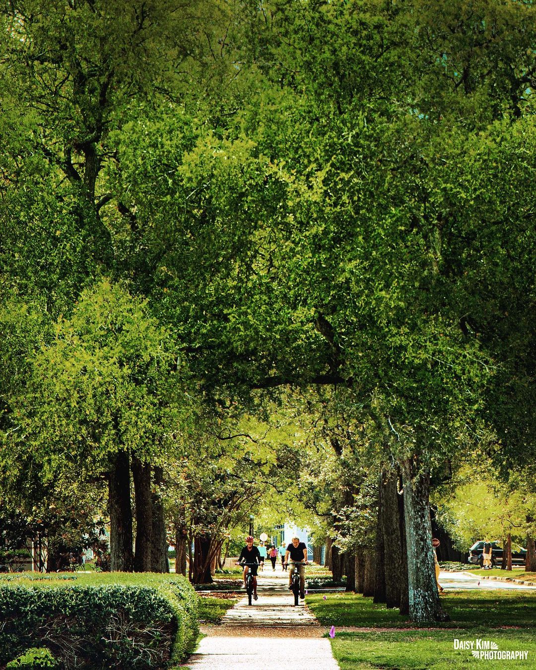 10 Most Walkable Areas In Houston