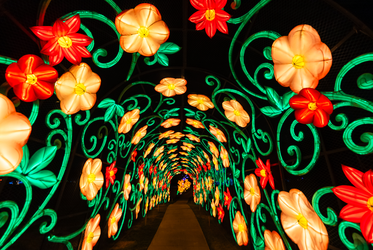 39 Amazing Things To Do This December In Houston