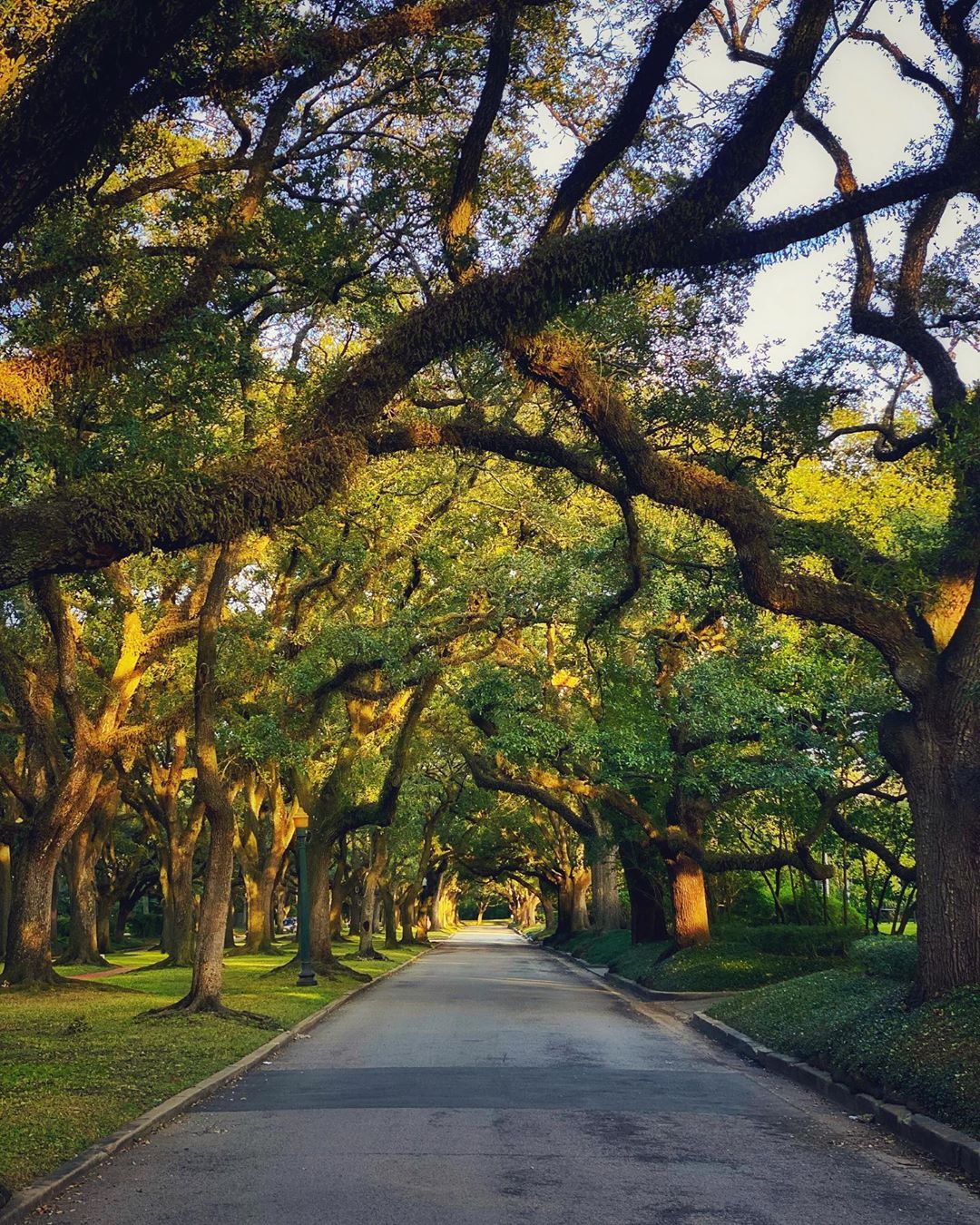 10 Romantic Spots In Houston For Lovers To Love