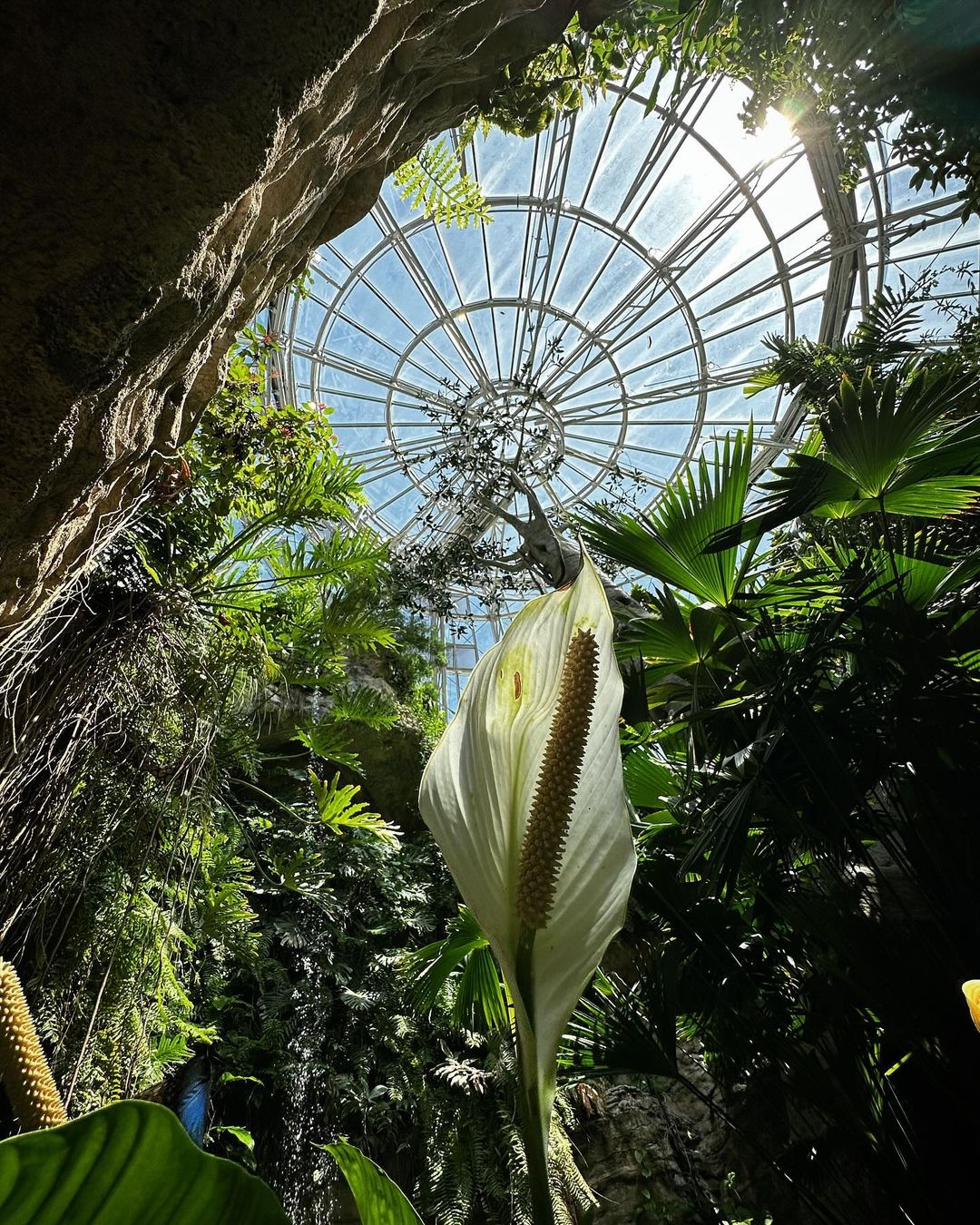 10 Romantic Spots In Houston For Lovers To Love