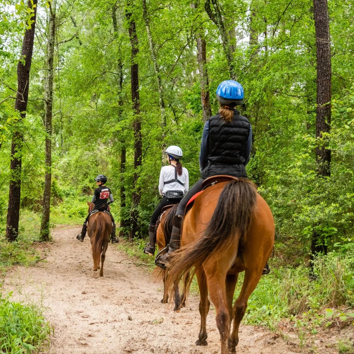 Go Horseback Riding In Houston At This Urban Ranch Just Outside Downtown