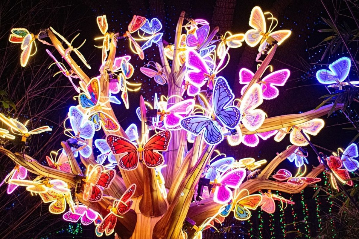Houston Zoo Lights Returns For Holidays This Week