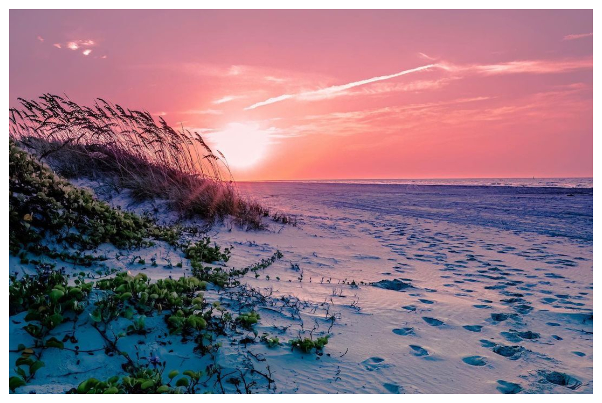 This Secluded Beach Near Houston Is Pure Coastal Wilderness